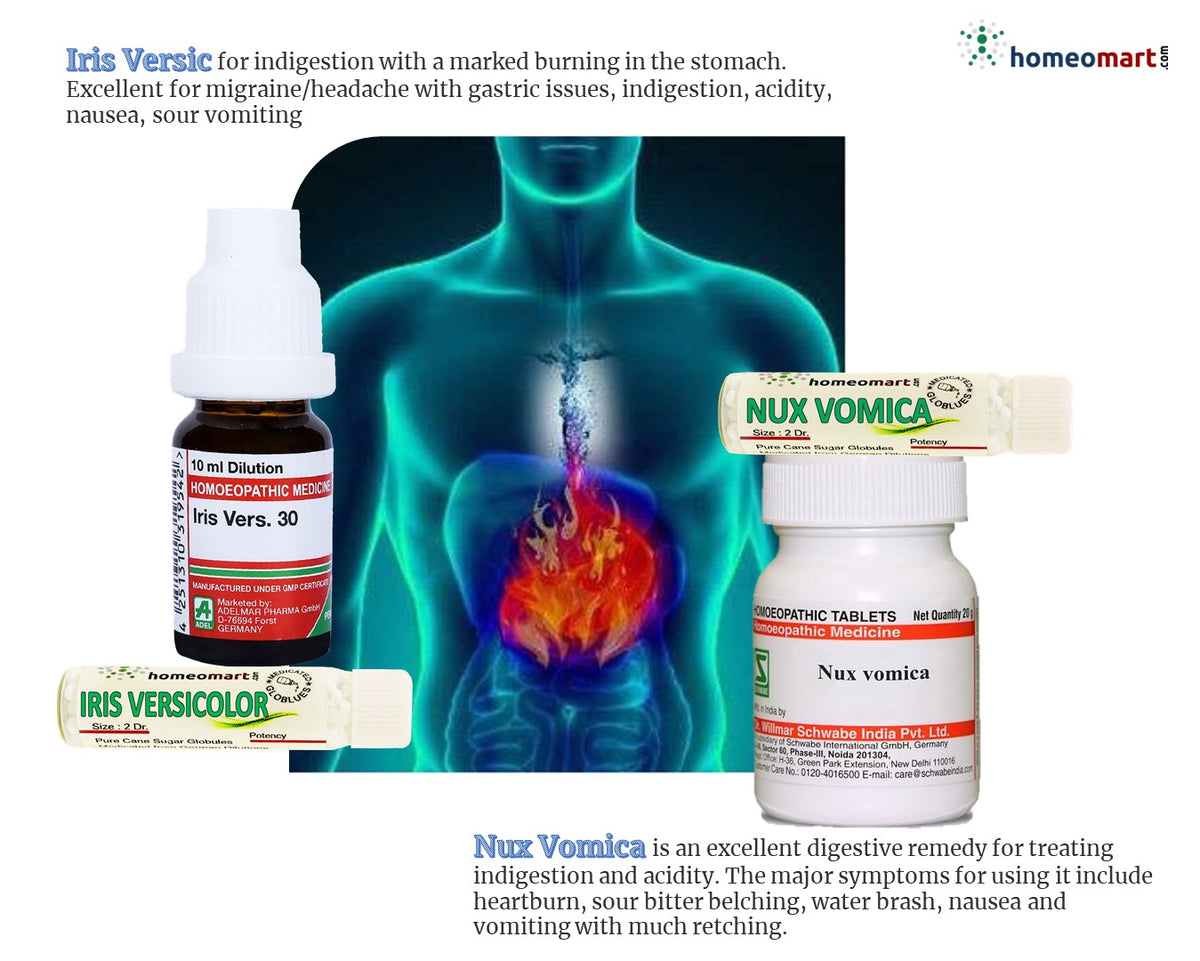 Effective Homeopathic Remedies for Indigestion - Natural Digestive ...