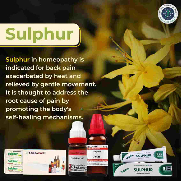 Sulphur Homeopathy Mother Tincture – Homeomart
