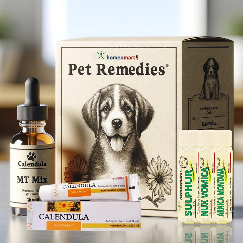 Homeopathic Dog Remedy Kit - Natural Solutions for Canine Health | Dog ...