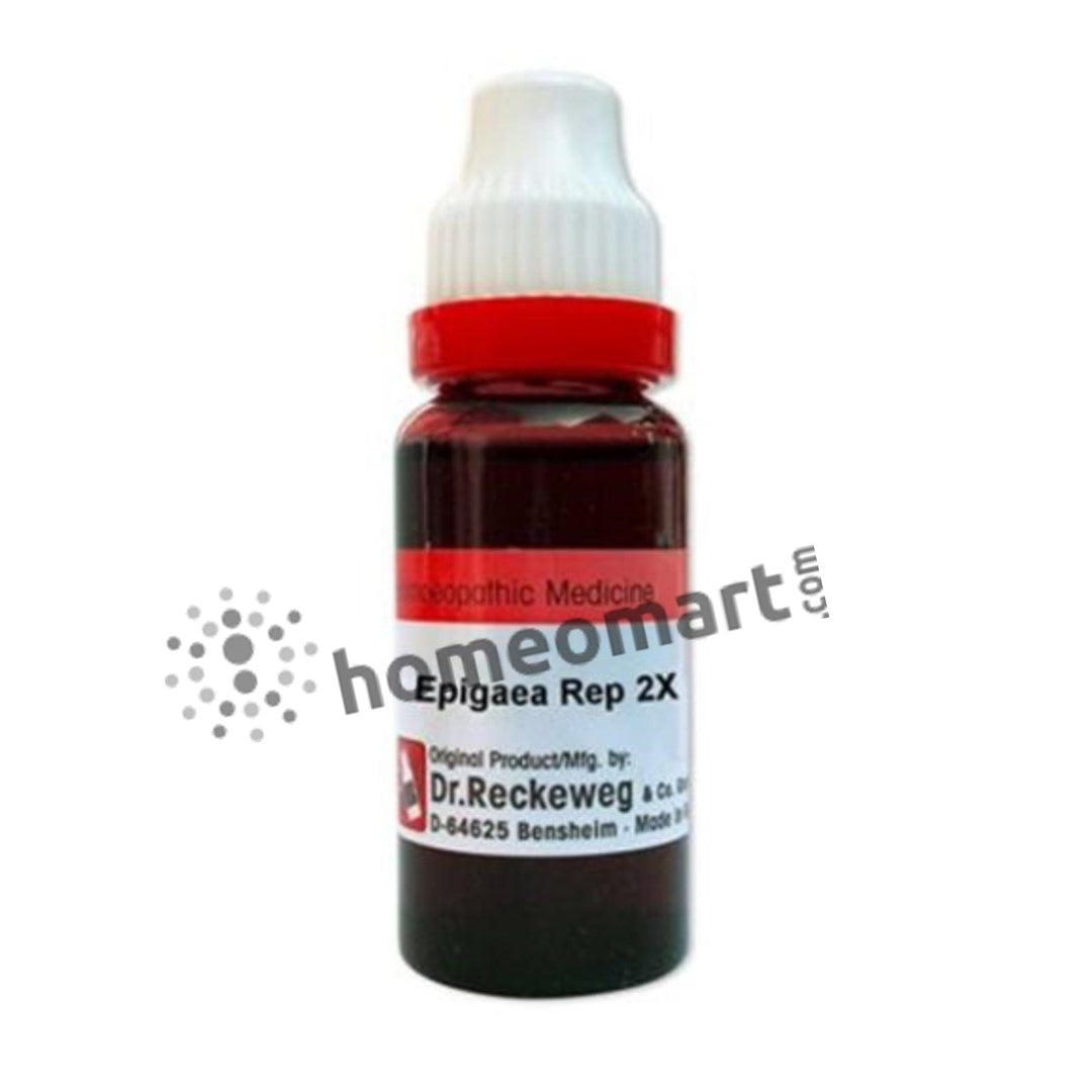 German Epigea Repens Mother Tincture Q. 20ml. Buy online – Homeomart