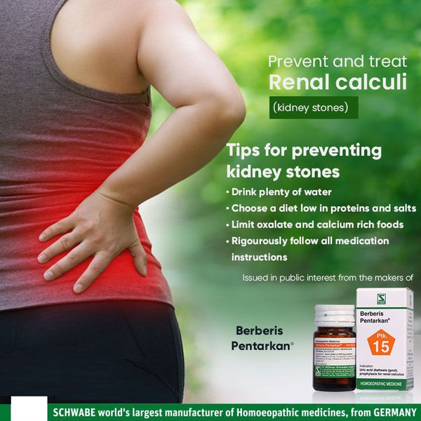 Schwabe Berberis Pentarkan tablets, Uric Acid Diathesis, Gout – Homeomart