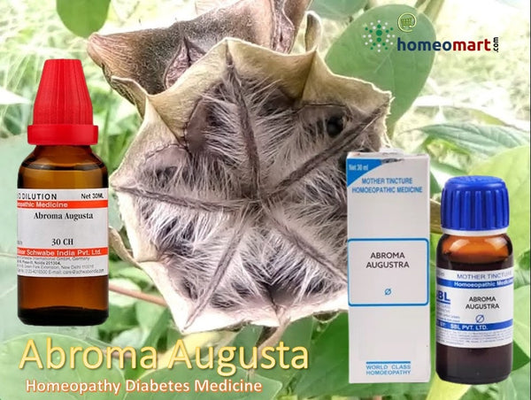Abroma Augusta Homeopathy Mother Tincture Q. 30/100ml, SBL,Schwabe ...